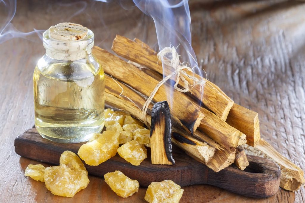 Beneficios del Palo Santo: propiedades y usos de la madera sagrada - Buena Vibra