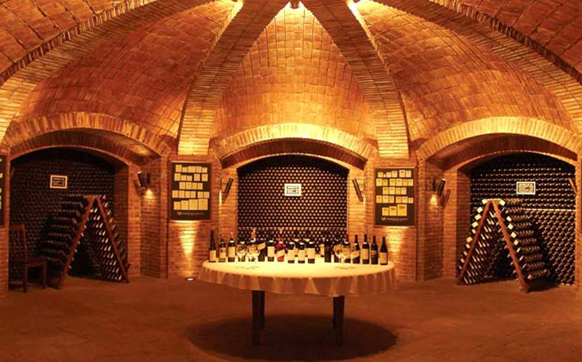 Las 10 mejores bodegas de Mendoza: una experiencia diferente - Buena Vibra