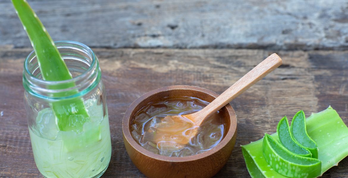 Usos de la sábila: una planta, múltiples usos